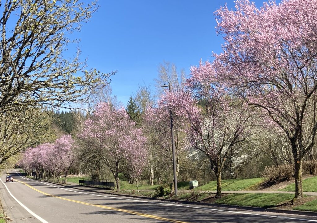 Newcomers Welcome Club – … serving Lake Oswego and the surrounding ... Newcomers Welcome Club – … serving Lake Oswego and the surrounding ...